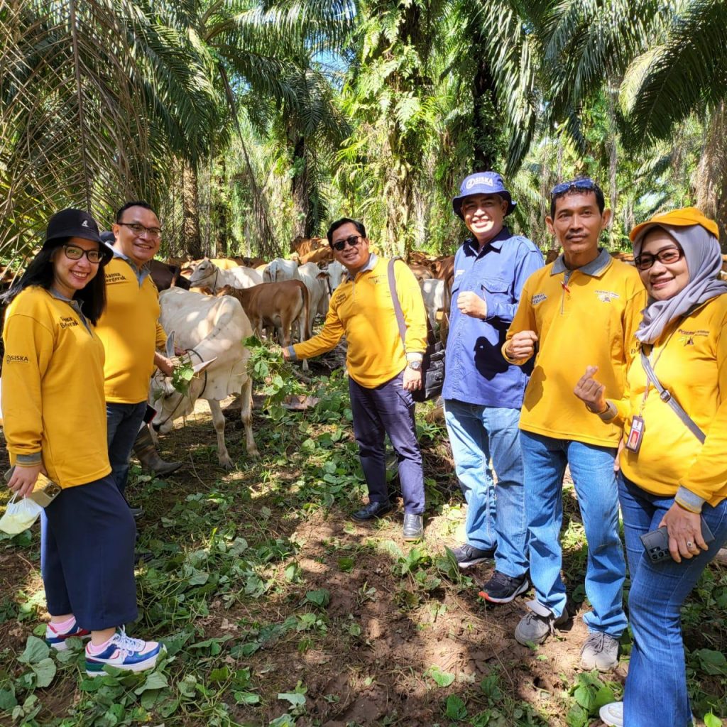 Disbunnak Kalsel Dorong Tumbuhnya Hilirisasi Industri Peternakan Sapi ... Disbunnak Kalsel Dorong Tumbuhnya Hilirisasi Industri Peternakan Sapi ...